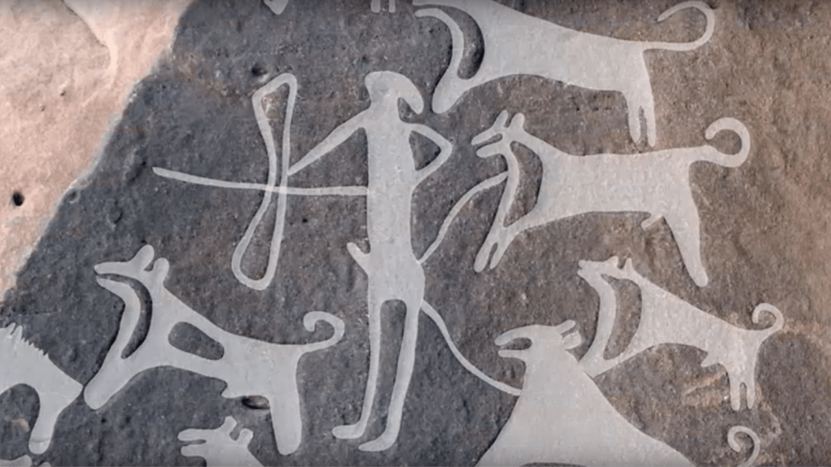 Dogs and humans migrated together across the ancient world, DNA ...