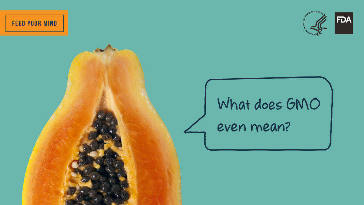 FDA aims to combat GMO misinformation with crop biotech high-school ...