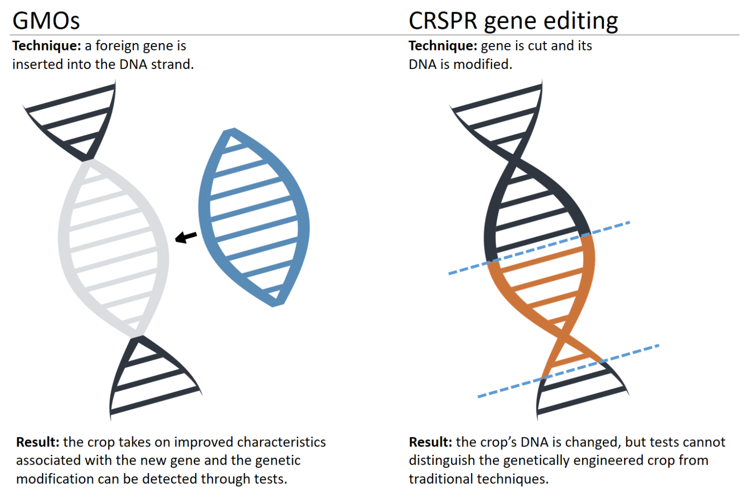 Viewpoint: Promoting CRISPR crops at the expense of GMOs to appease ...