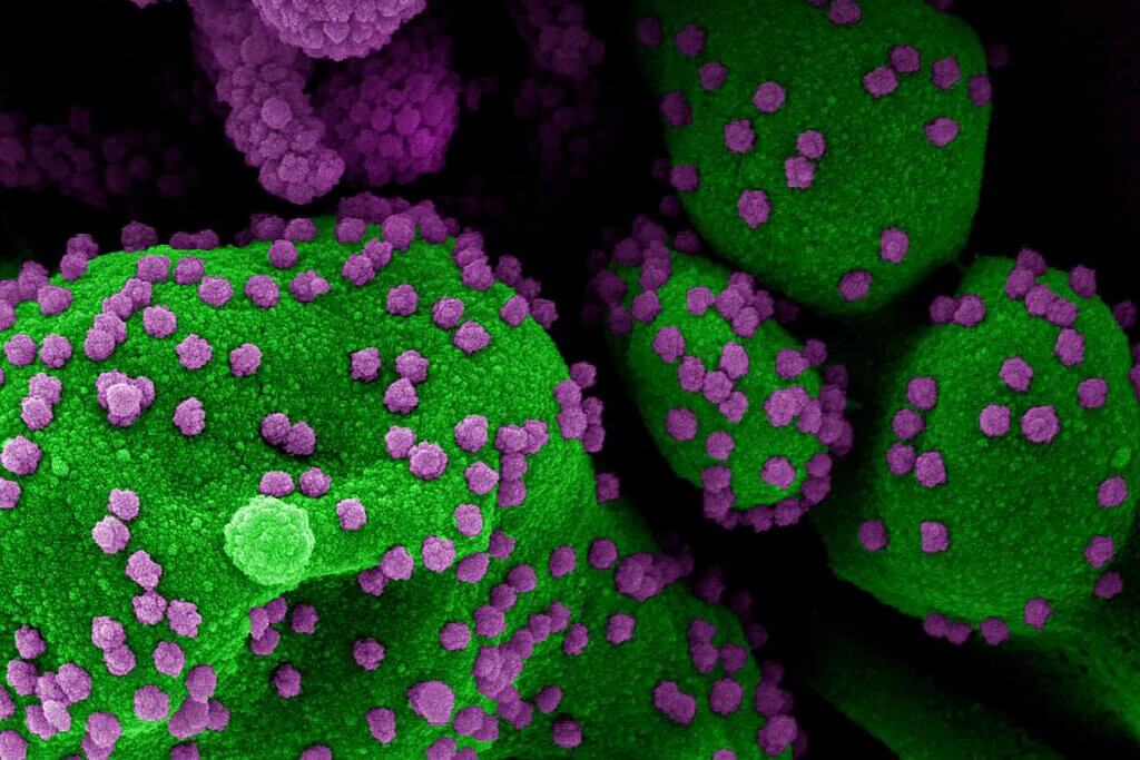 Evolution and the pandemic: How COVID could develop resistance to ...