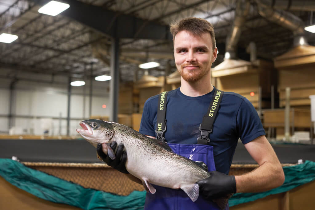 GMO salmon two months from introduction: AquaBounty fights anti ...