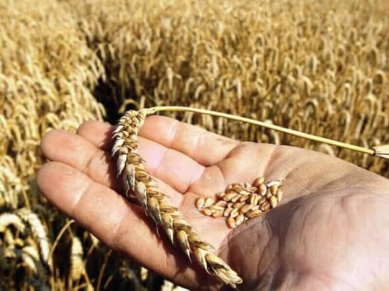 Draught-wracked Australia and Asia: Still unapproved sustainable ...