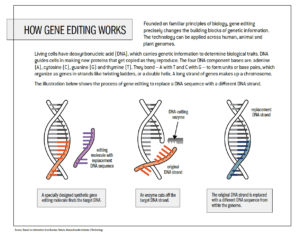 How CRISPR and other gene-edited crops are regulated in the United ...