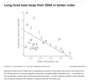 Why do some animals live extraordinarily long lives — and can humans ...