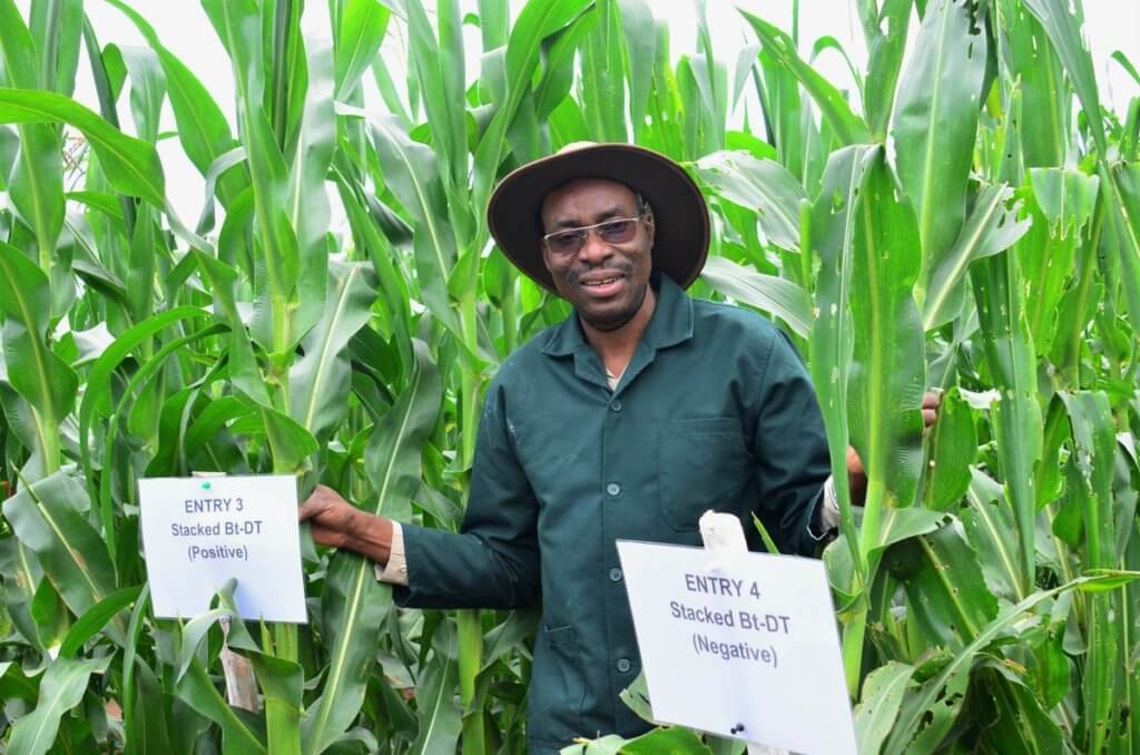 Viewpoint: Part 2 — Which developing countries are taking the lead in ...