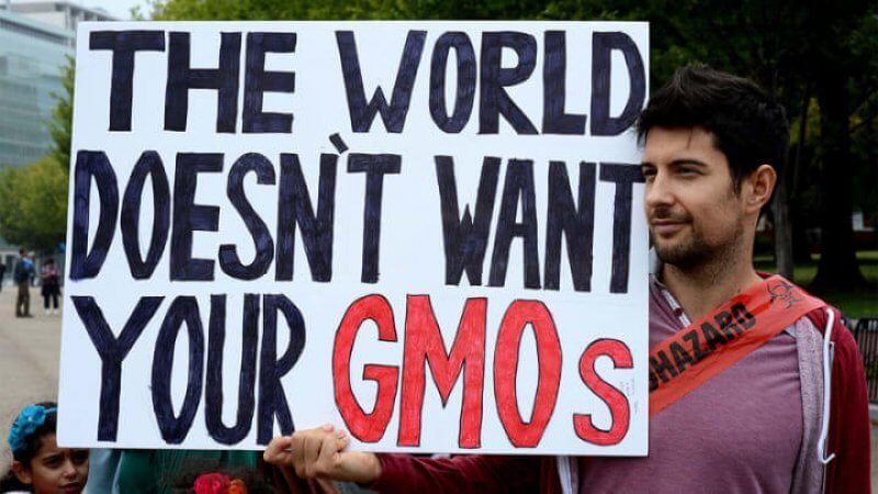 Podcast: Here is how misinformation about GMOs and crop biotechnology ...
