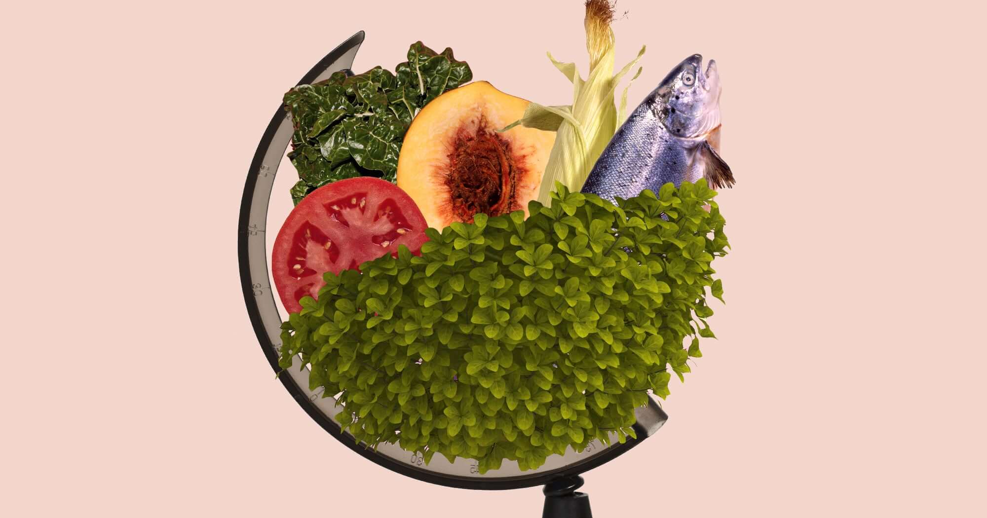 What's on the menu in a climate-sensitive diet — and will we eat it ...