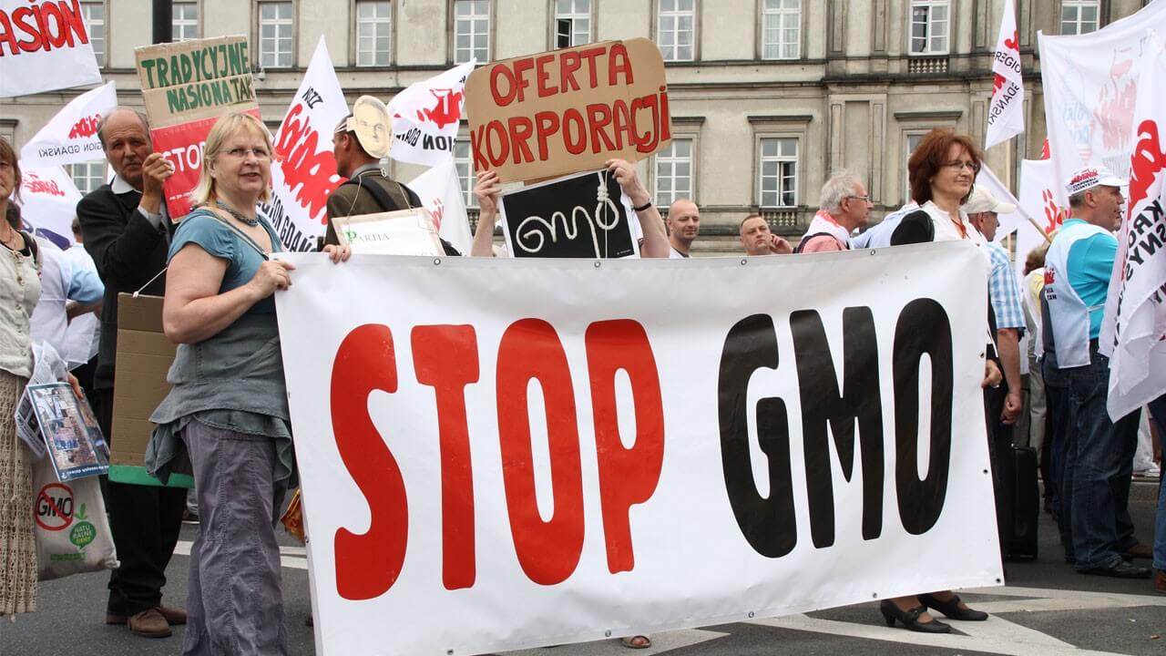 Going GMO-free? Why rejecting biotechnology leads to environmental and ...