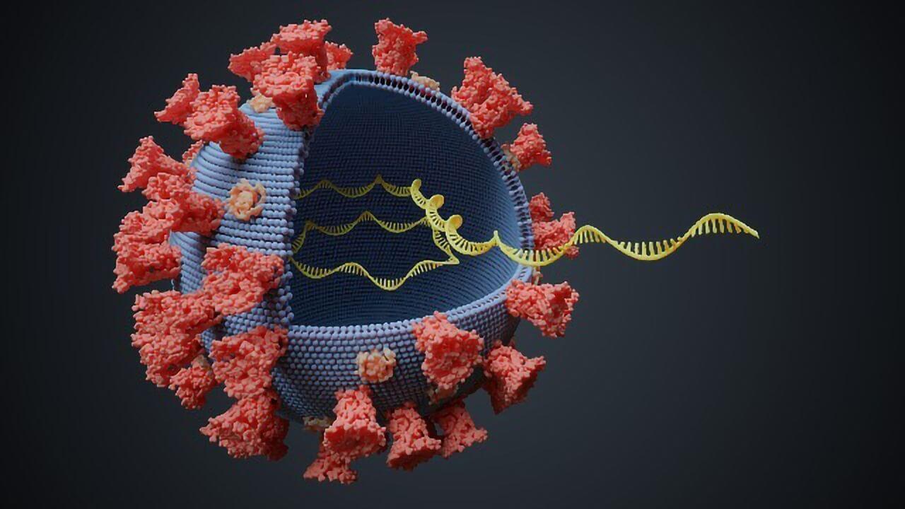 Evolution will determine how COVID changes after Omicron - Genetic ...
