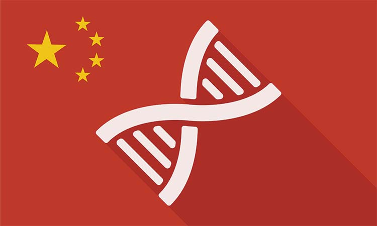 Yearning for self-reliance and wary of imports, China edges closer to ...
