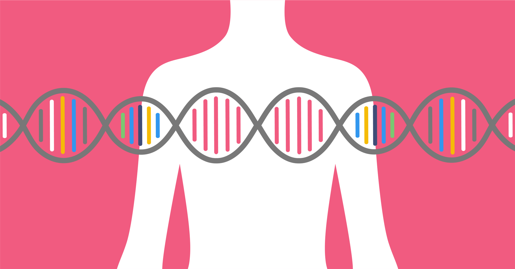 Breast and ovarian cancer BRCA genes now linked to prostate and ...