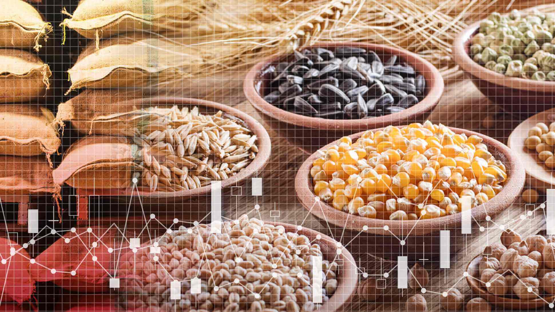China pushes ahead with GMO crops to safeguard food security - Genetic ...