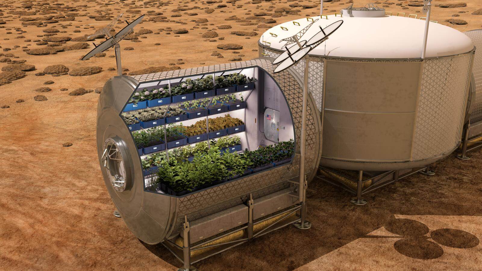 Video: Crops in space? With long space voyages on the horizon, NASA ...