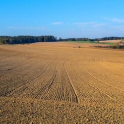How ‘agricultural intensification’ could cut global farm land use by ...