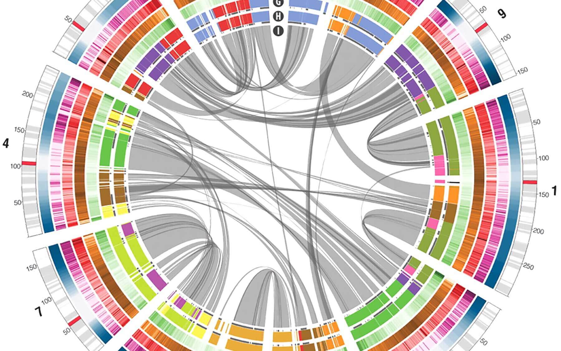 Meeting UN sustainability goals: Why gene editing is key - Genetic ...