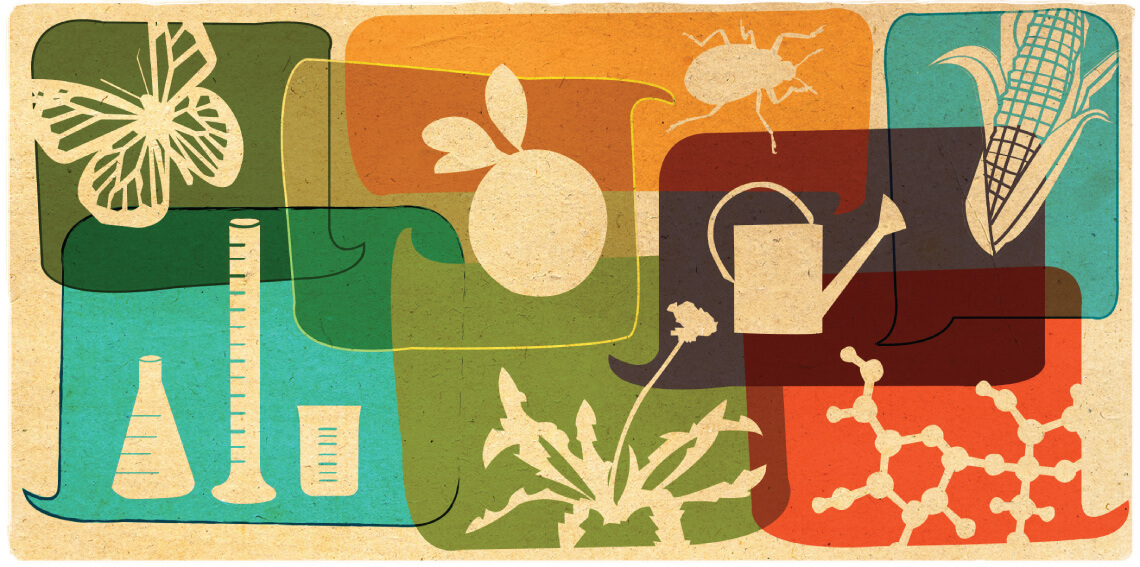 Farm student addresses concerns raised about GMO crops and food ...