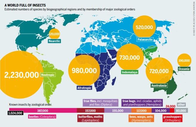 How agriculture and climate change are shrinking the global insect ...