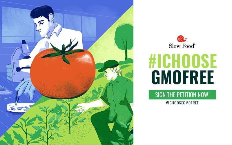Viewpoint: Germany’s anti-GMO ‘Slow Food’ activist group invokes ...