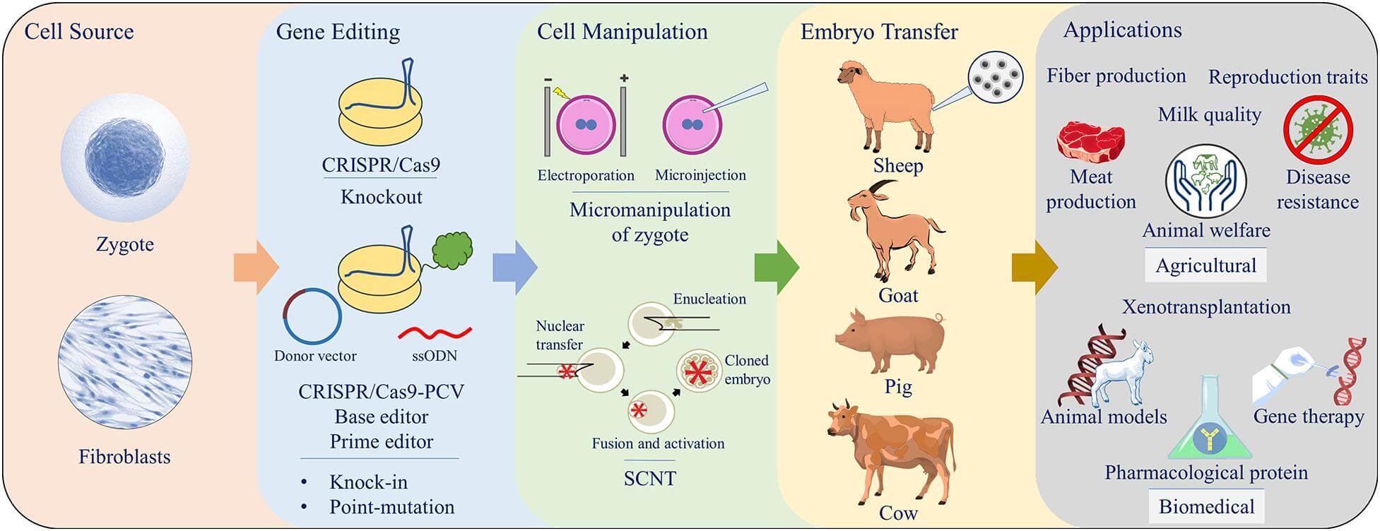 Viewpoint: Why genetic engineering of livestock is compatible with ...