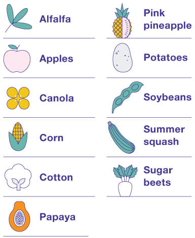 ‘Feed Your Mind’: FDA releases guide on GMOs, emphasizing their safety ...