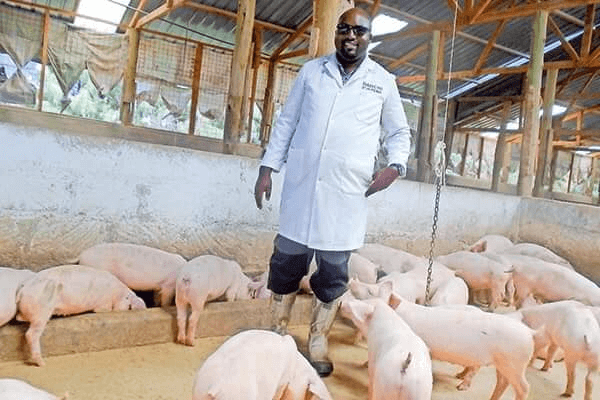 Zambia’s traditional pig farmers poised to embrace reproductive ...