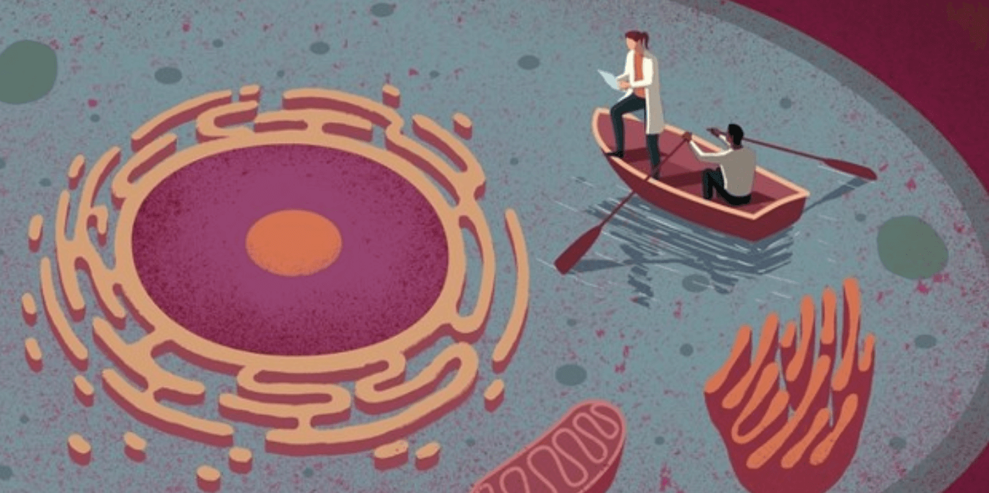 The Song of the Cell: Oncologist Siddhartha Mukherjee’s new book ...
