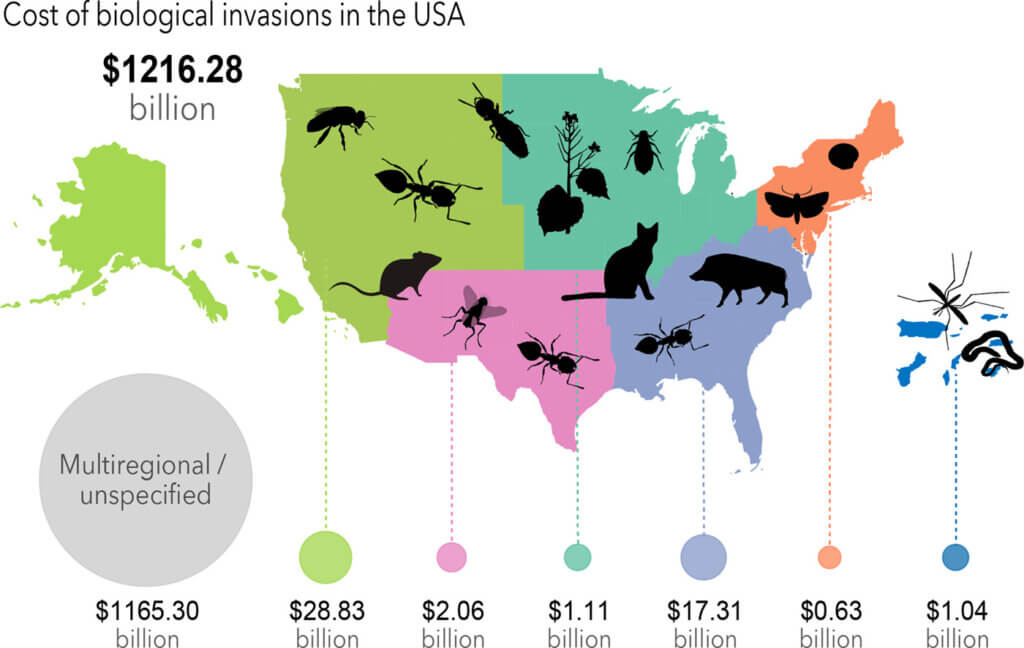 Do we unfairly label ‘invasive species’? Conservationists debate ...