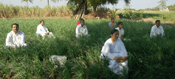 Viewpoint: A degree in regenerative organic agriculture at a ...