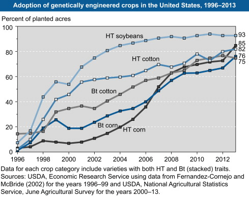 Genetically modified crops are key to resisting climate change, US ...