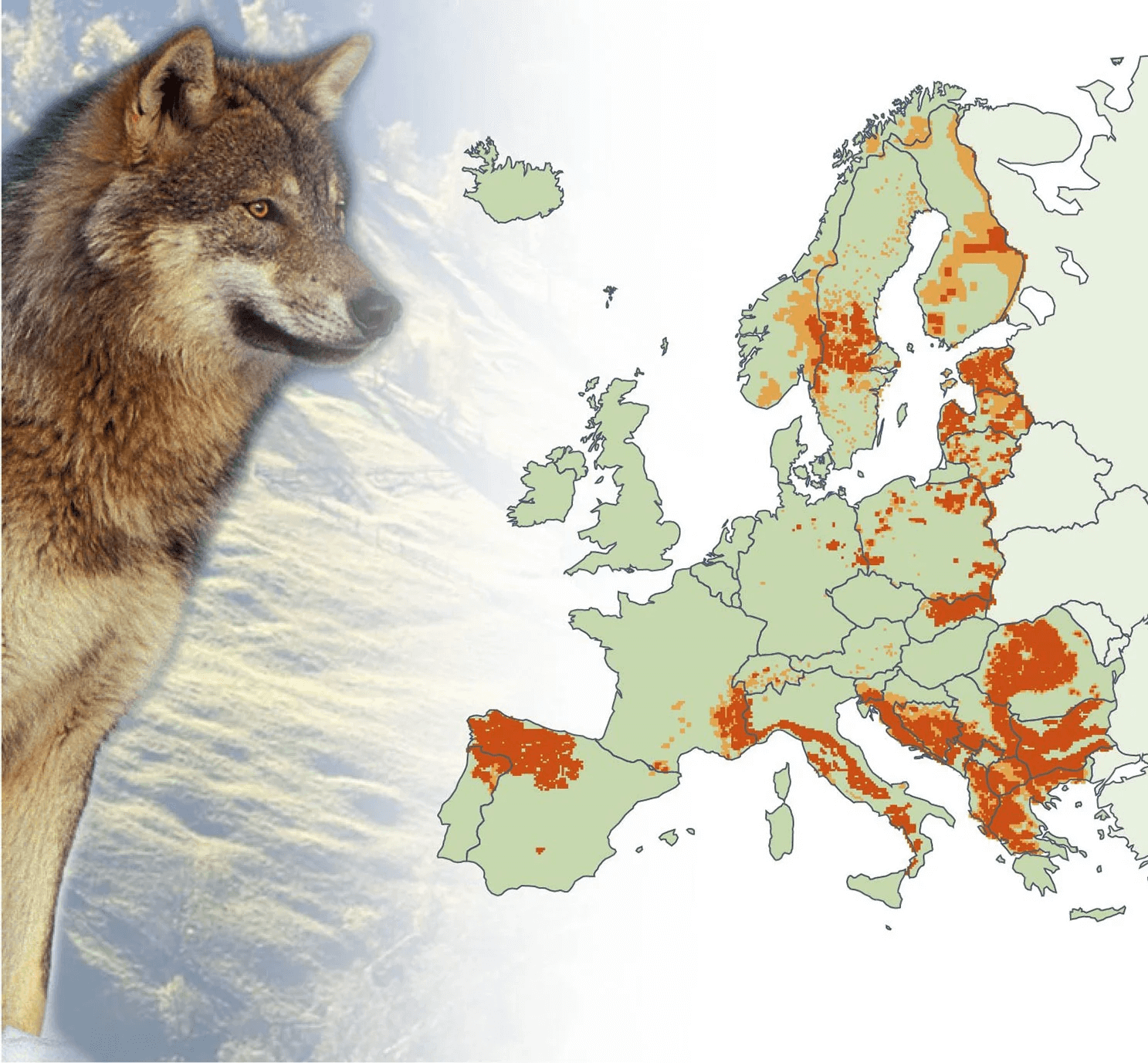 Part I: Europe’s rewilding movement — A victory for environmentalism or ...