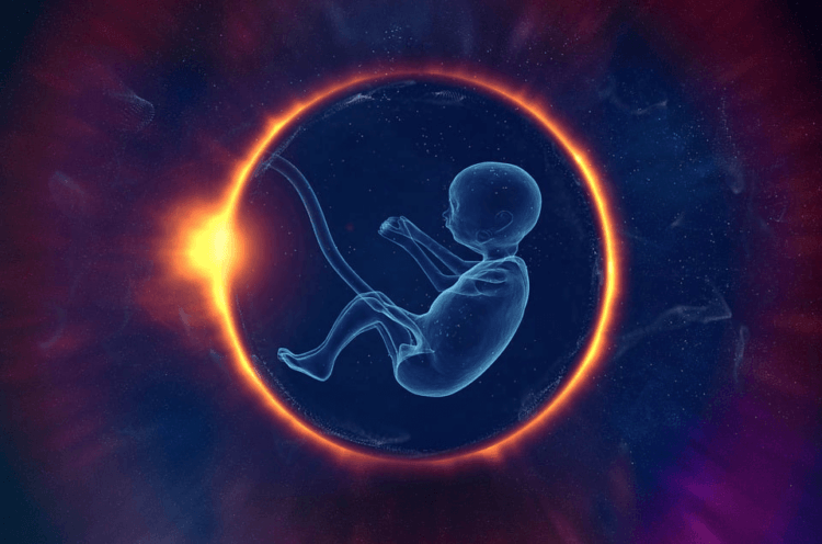 ‘Designer baby’ startup: Controversal germline editing company ...