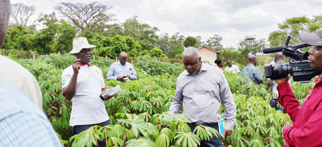 Uganda scientists push for adoption of GM crops as anti-biotechnology ...