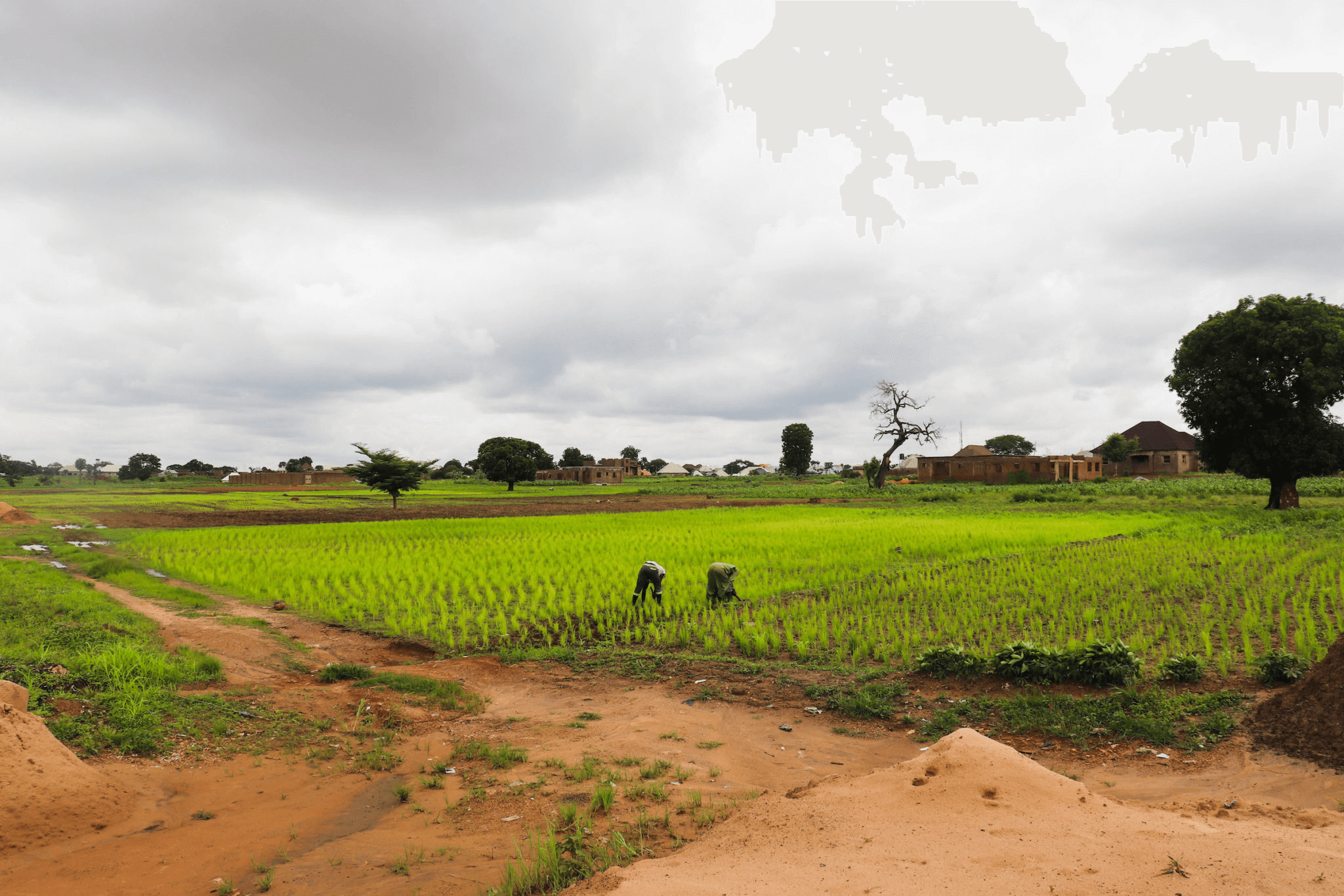 United States promises Africa 7 billion dollars to tackle climate ...