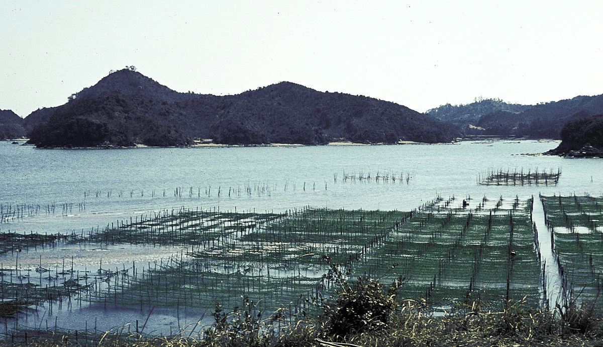 Protecting crops from unpredictable weather, restoring soil health, and ...