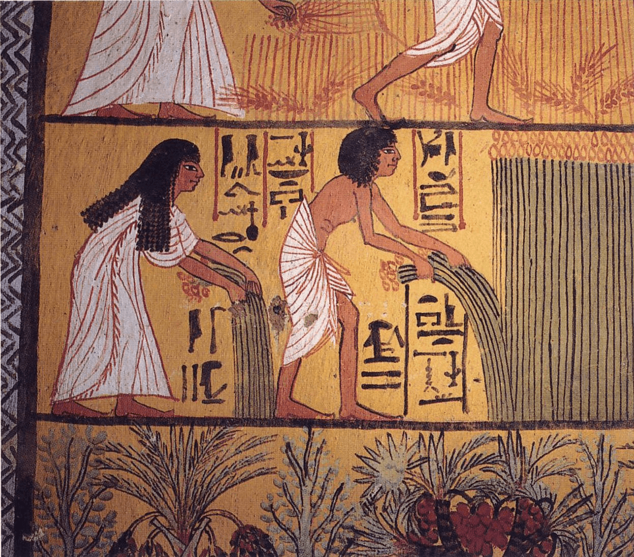 Archaeobiology provides fresh insights about the origins of food and ...