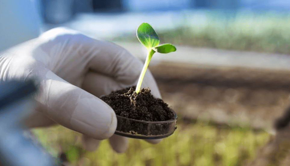 Europe dragging its feet on CRISPR deregulation assessment. Here’s how ...