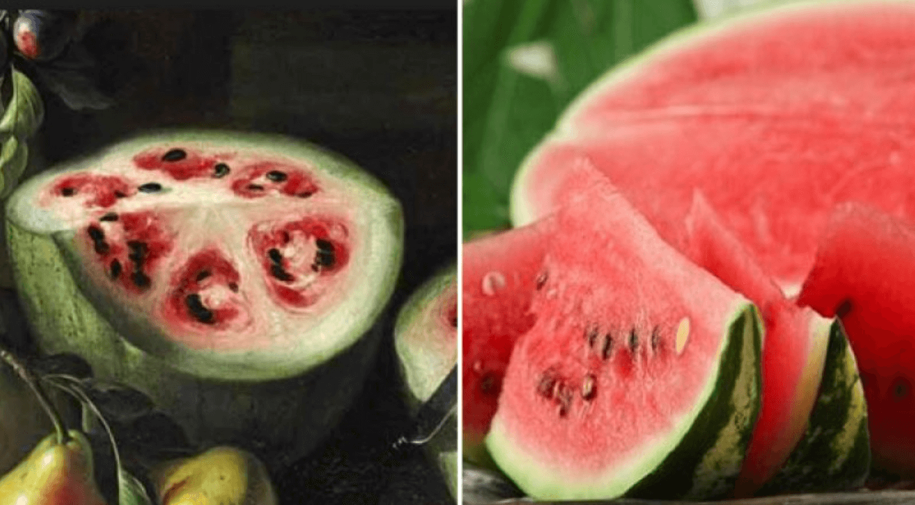 Humans have been genetically modifying crops for thousands of years ...