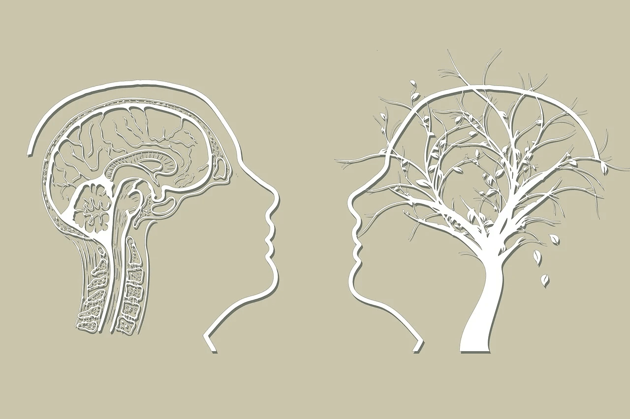Mental decline explained: What’s the difference between Alzheimer’s ...