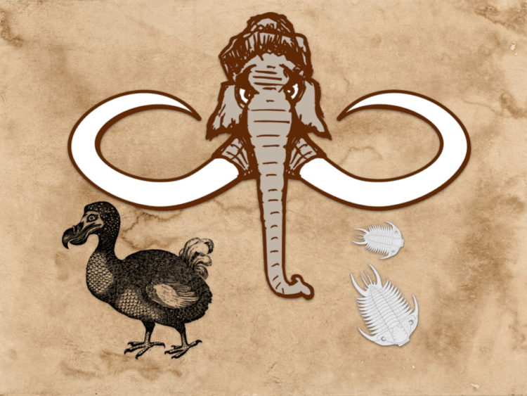 Should we bring the wooly mammoth and other species back from ...