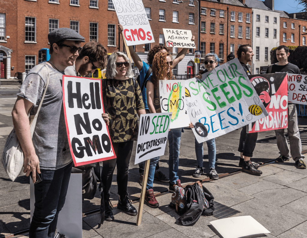 Viewpoint: Have green, ecological, and environmental movements lost the ...