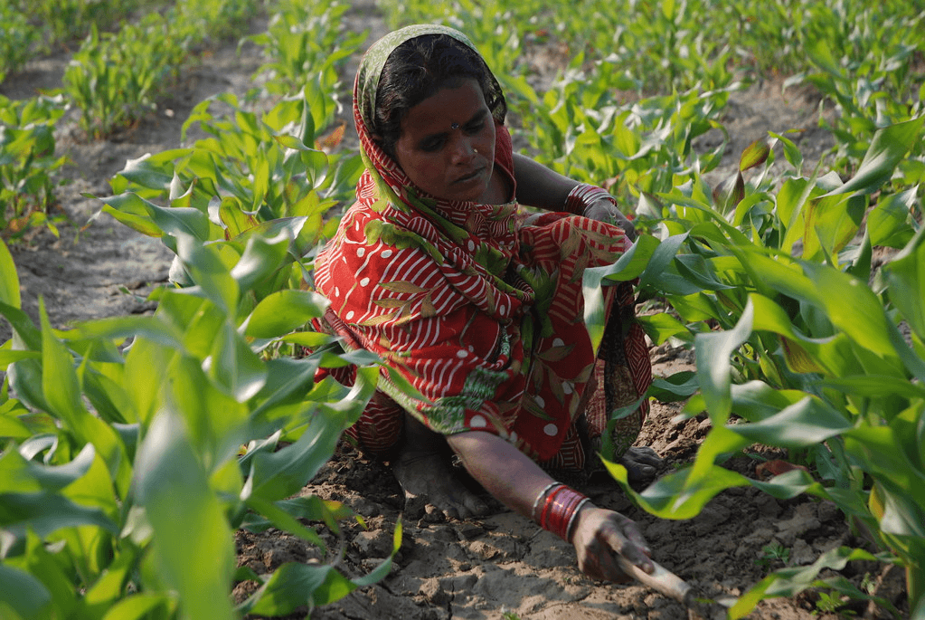 Viewpoint: What will it take for India to follow path blazed by so many ...