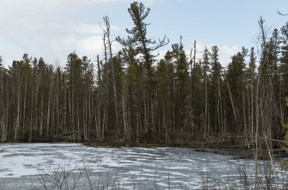 Zombie viruses: Record warming in the Arctic could revive ancient ...