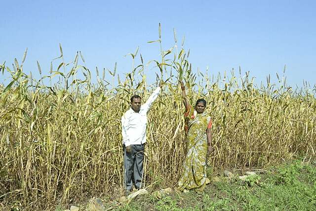 The good and problematic elements of the ‘Green Revolution’ — and ...