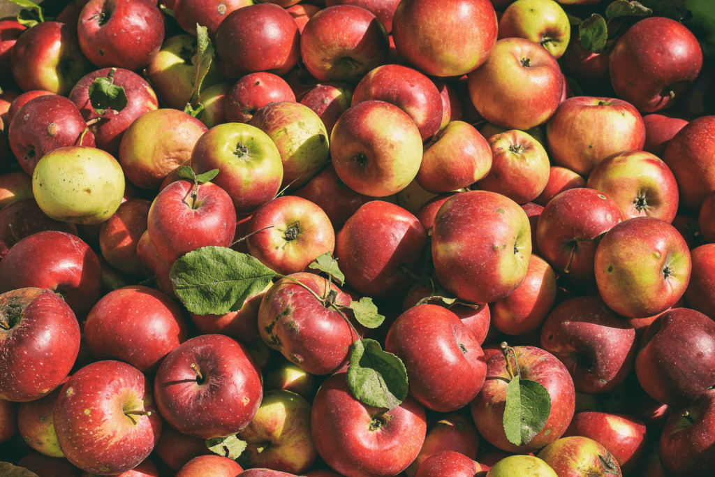 Boosting taste, shelf life and climate resilience: Why creating a ...