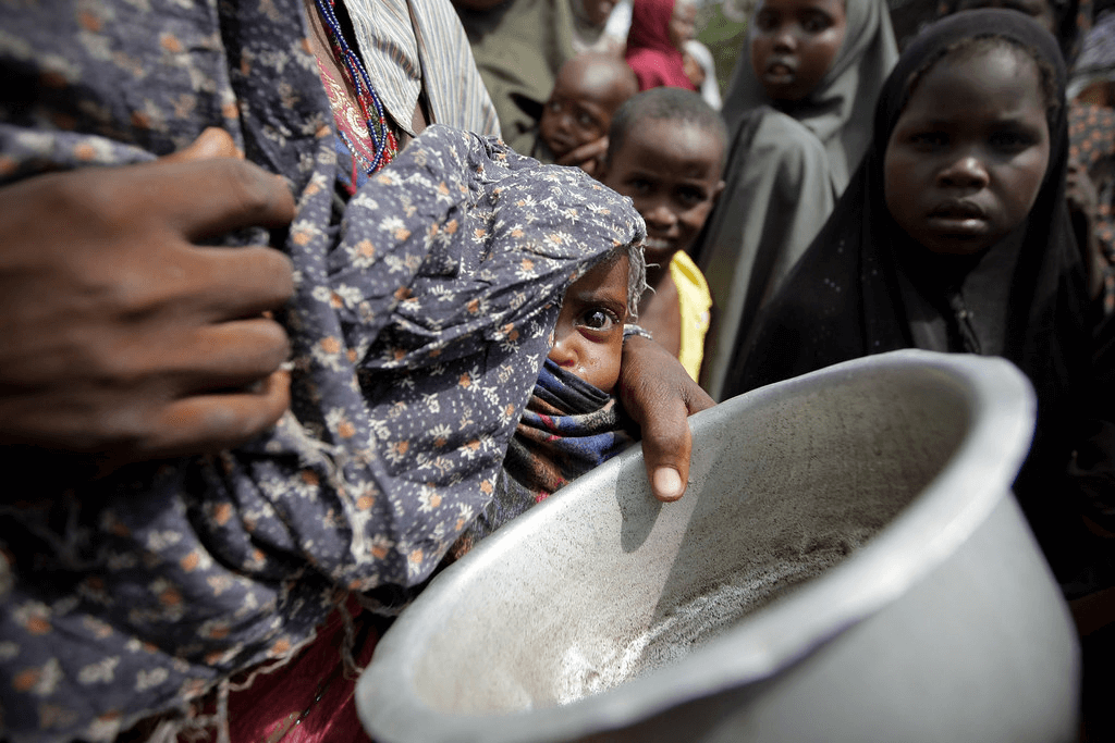 Infographic: 800 million people worldwide are hungry and a third of the ...