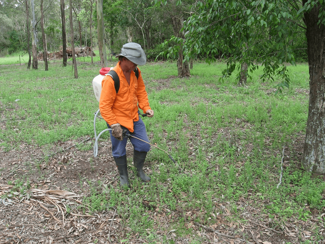 Weedkiller adaptation: ‘Silver bullets on weed control don't exist ...