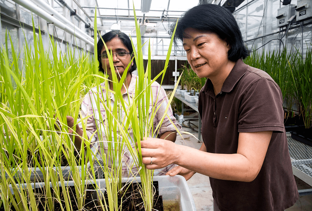Here’s the skinny on fast-emerging genetic engineering tools that are ...