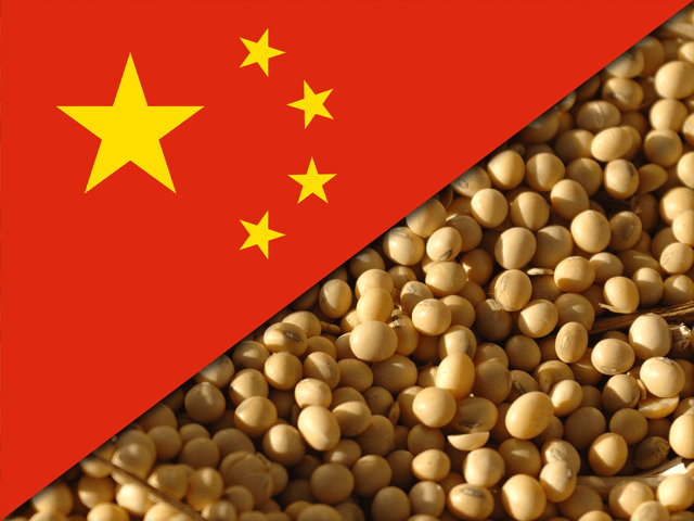 How China’s decision to aggressively expand GMO soybean planting and ...