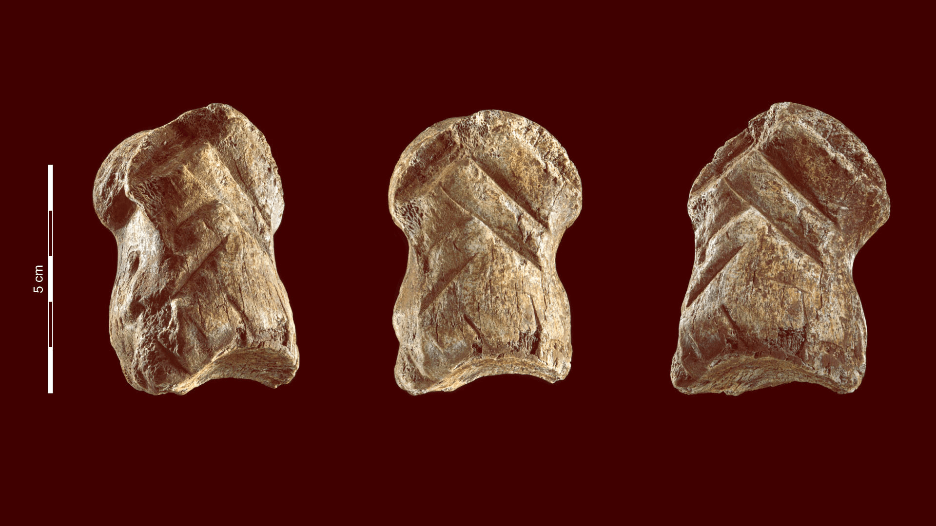 Did Neanderthals create art? Engraved bone raises questions about human ...