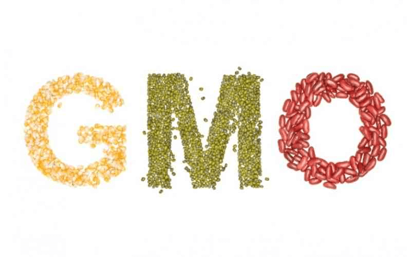 Unpacking effects of GM crops on global health, labor, and ...